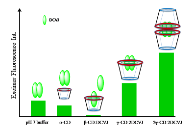 Home [sites.iiserpune.ac.in]